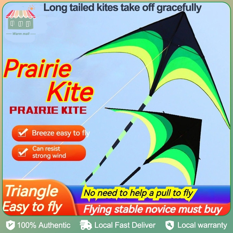 long tail rainbow kite with 50m string outdoor kites adult kids flying ...