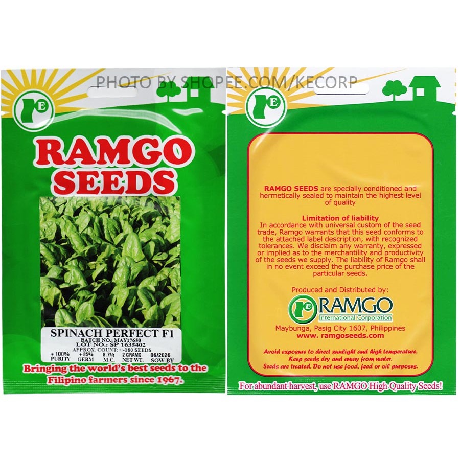 Ramgo Seeds - Sold per Pack per Variety Pechay Parsley Italian Squash ...