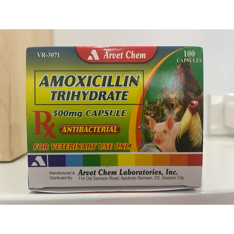 Arvet Amoxicillin Trihydrate 500mg Sold 100capsules per Box | Shopee ...