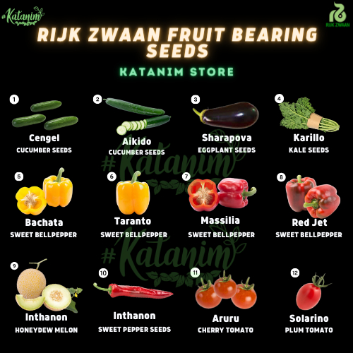 katanim FRUIT BEARING Seeds Collection 3 | Rijk Zwaan Cucumber Eggplant ...