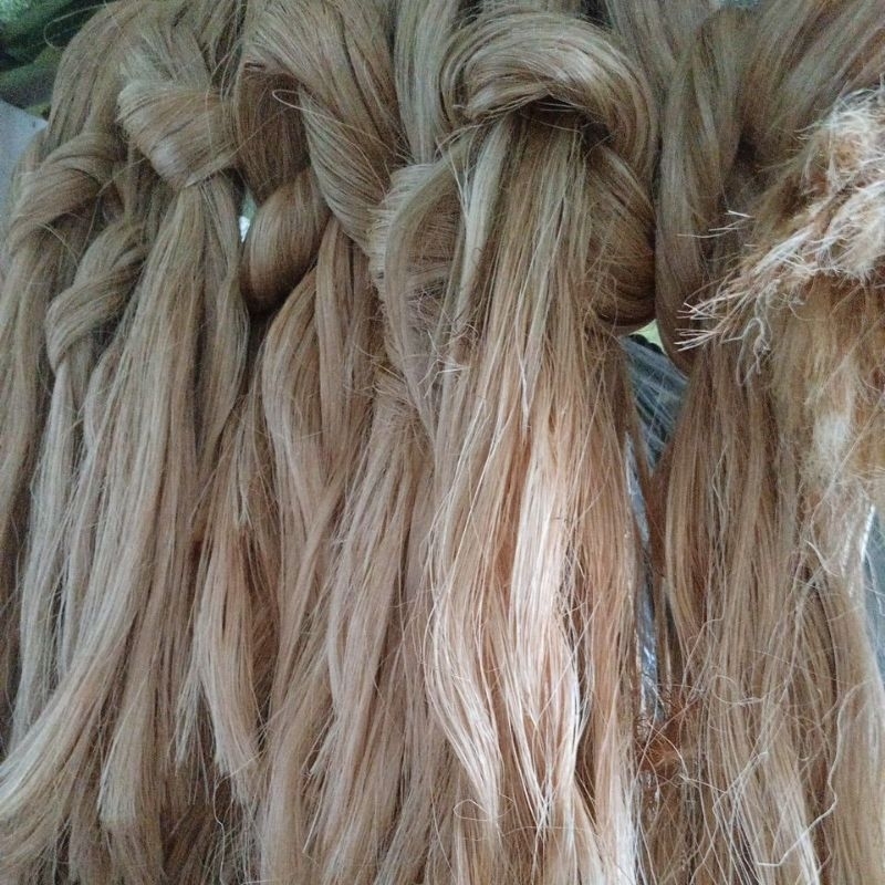 raw Abaca fiber /Manila hemp | Shopee Philippines