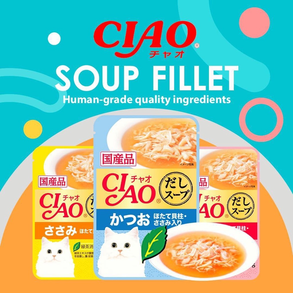All Stages Adult Kitten Ciao Pouch Creamy & Soup Fillet Cat Wet Pouch Food 40g | Shopee Philippines