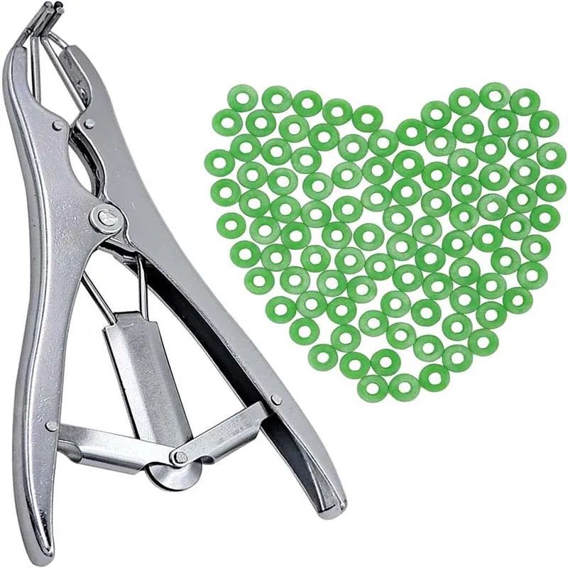 Castrator Bander Plier Elastrator Castration Tool Dock Tail for Animals | Shopee Philippines