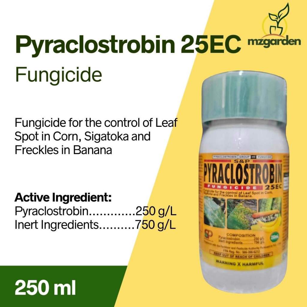 Sandp Pyraclostrobin 25ec Fungicide 250ml Shopee Philippines