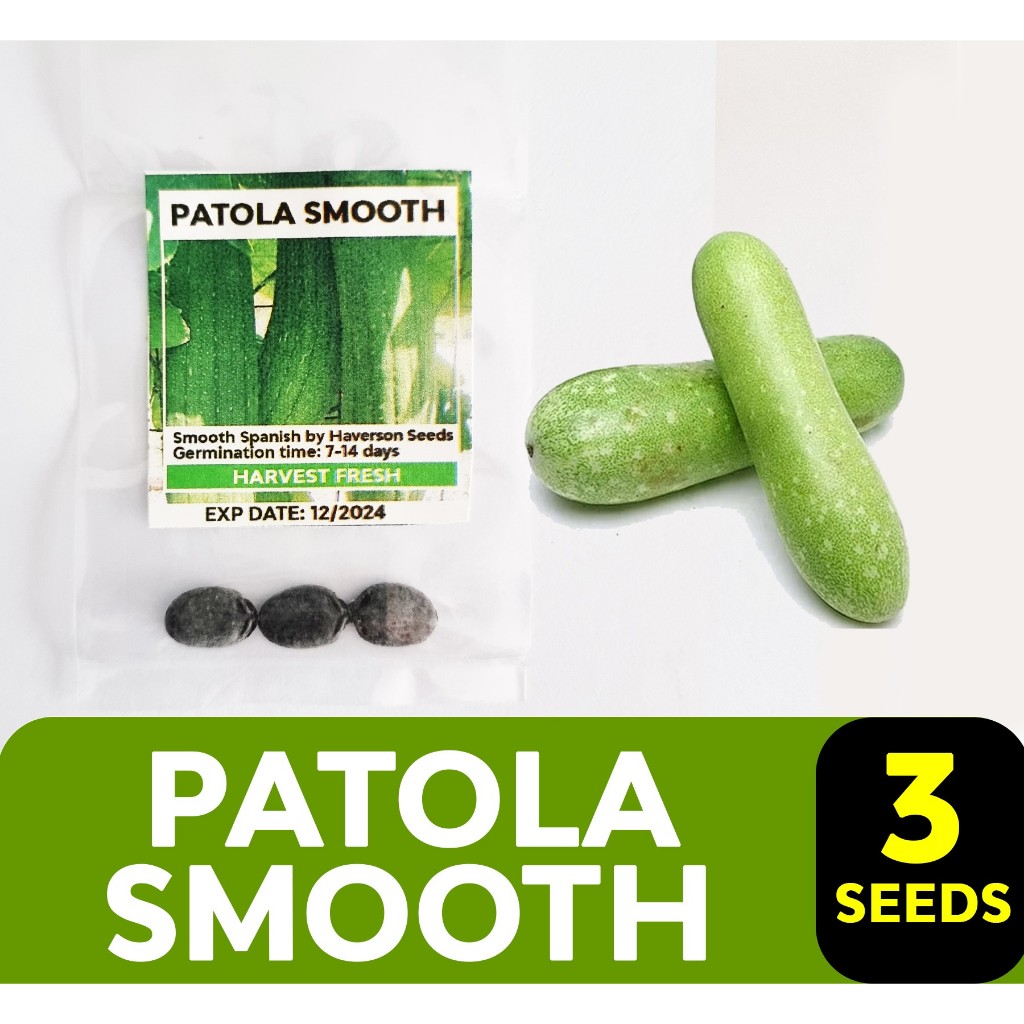 Vegetable Seeds - Kalabasa Okra Ampalaya Sitao Bell Pepper Carrots ...