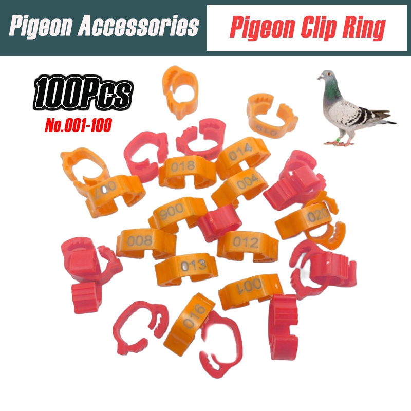 100Pcs Clip ring for pigeon Adjustable Pigeon ring Dove ring pigeon ...