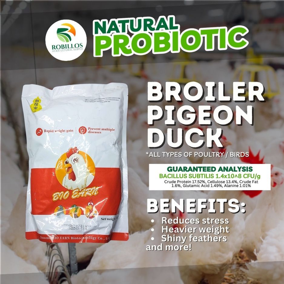 Broiler, Pigeon, Ducks, Poultry Growth Booster | Bacillus subtilis ...