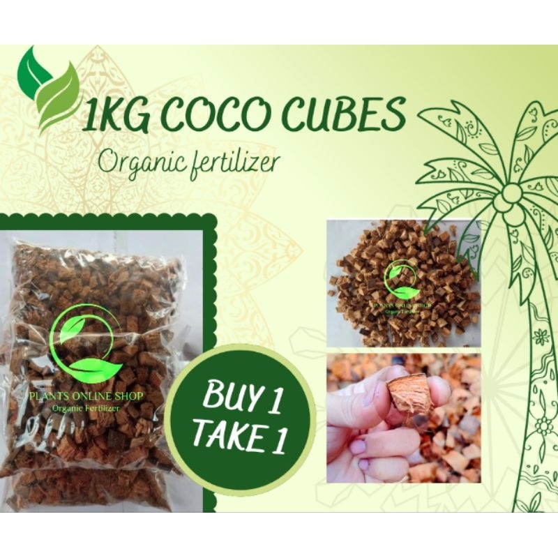 (BUY1 TAKE1)1kg (COCO CUBES) for plants from coconut husk, organic ...