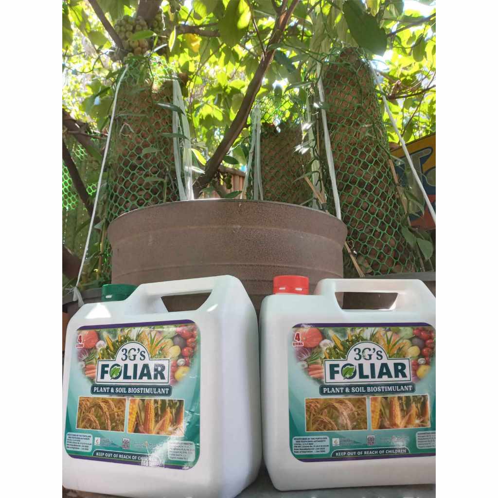 3G's Foliar | Soil & Plant Bustimulant 4 Liters with free Cup | plant ...