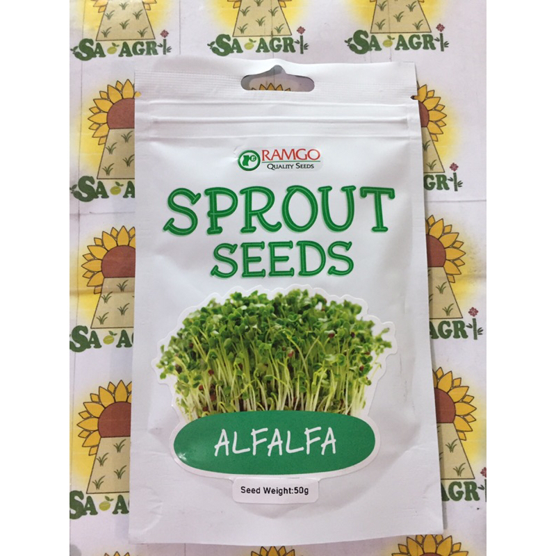 Alfalfa Sprout Seeds (50g) | Shopee Philippines