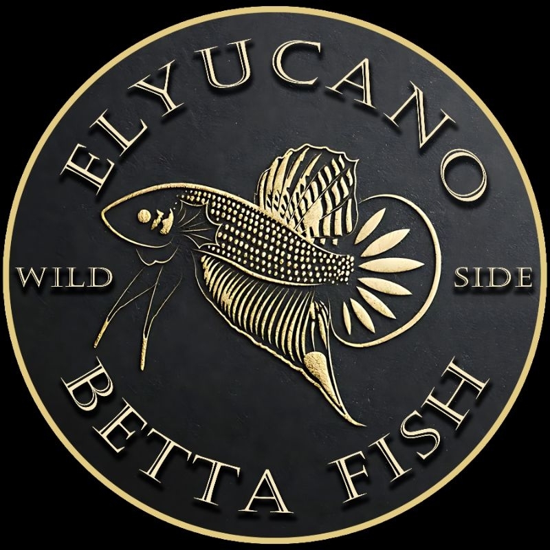 Betta Talisay Extract | Shopee Philippines