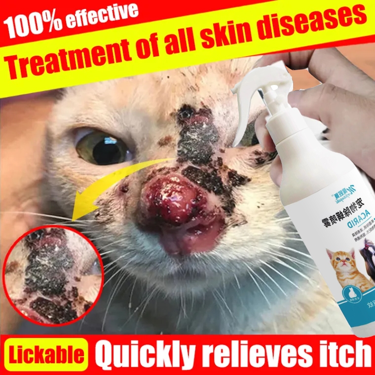Cat Medicine For Skin Disease Anti Fungal For Cats Anti Galis For Dog ...