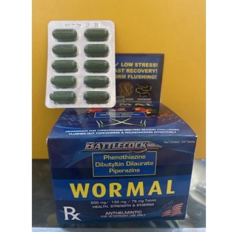 WORMAL TABLET 10'S (1 BANIG) | Shopee Philippines
