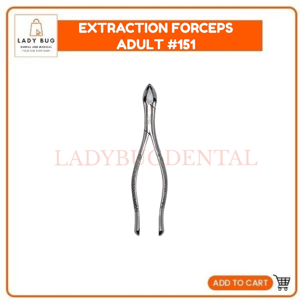 ADULT EXTRACTION FORCEPS #151 - ORAL SURGERY INSTRUMENT | Shopee ...