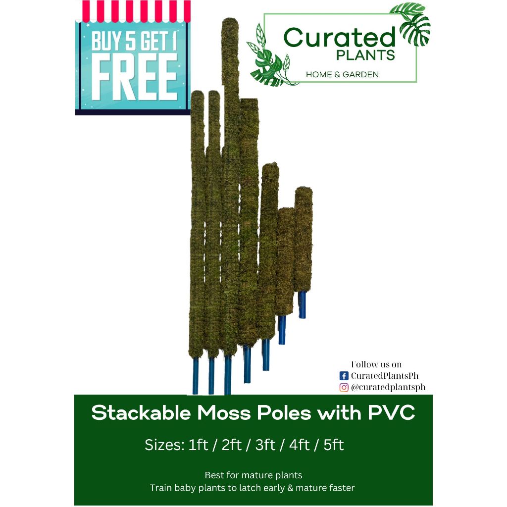 Buy 5, Get 1 FREE! LENGTH: 4 FEET LONG/48 INCHES Sphagnum Moss Poles ...