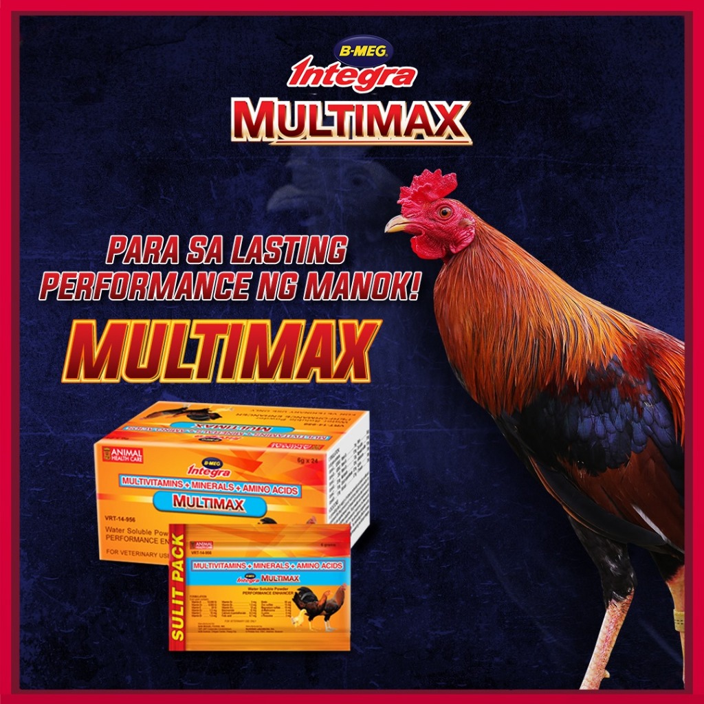 MULTIMAX 6grams (Sold per Sachet) | Shopee Philippines