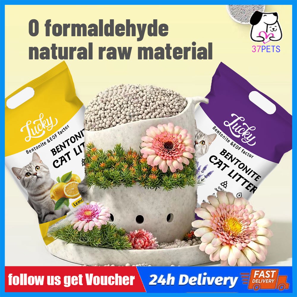 Bentonite Cat Litter 2 KG Food GradeOdour Control clumping Highly ...