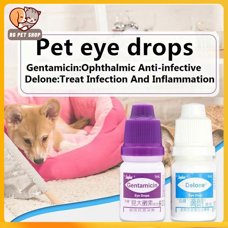 Gentamicin Pet Eye Drops Cat and Dog Eye Infection Removes Tear Stains ...