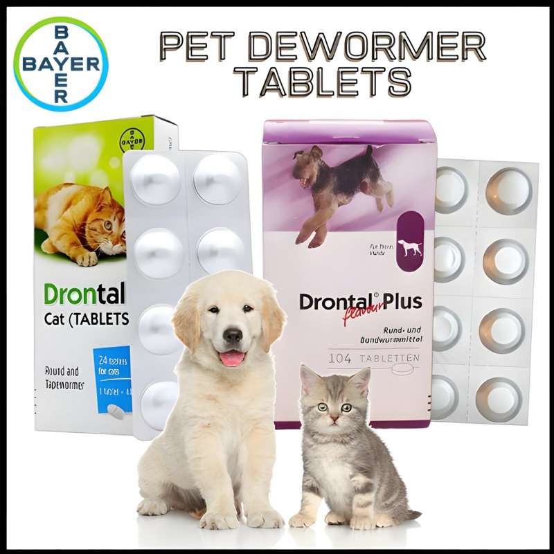 Drontal Plus Cat and Dog Dewormer Tablet 1pc Roundworms Hookworms ...