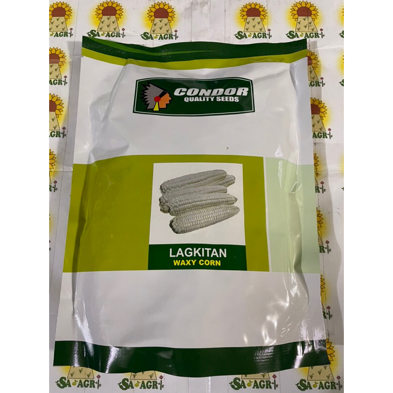 LAGKITAN WHITE CORN SEEDS (1Kilo) by condor | Shopee Philippines