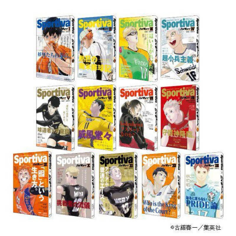 ON HAND | OFFICIAL HAIKYUU x SPORTIVA Shōsetsuban (Light Novel ...