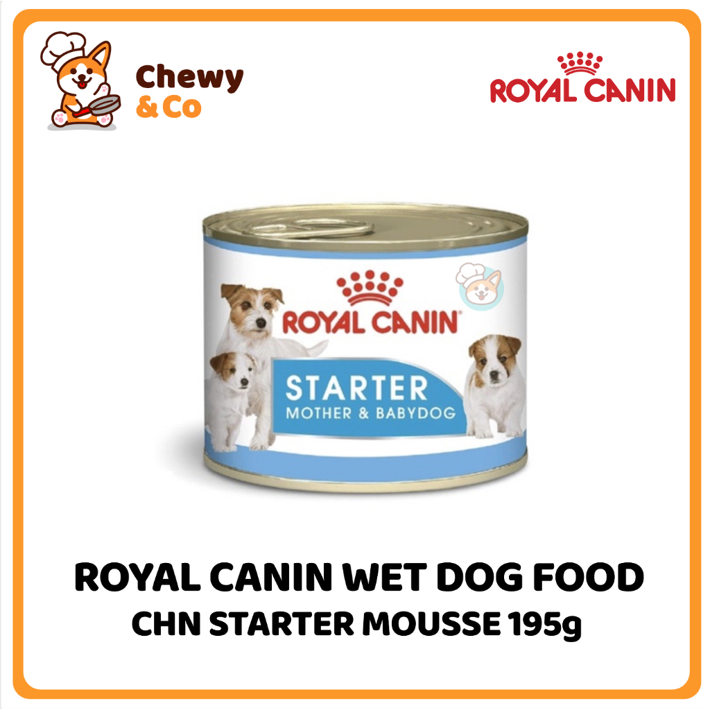 Royal Canin Mother & Baby Wet Dog Food Starter Mousse Can 195g - Canine Health Nutrition (CHN ...