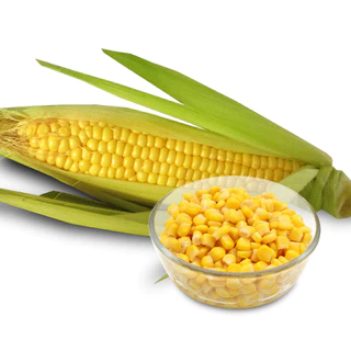 Shop whole kernel corn for Sale on Shopee Philippines