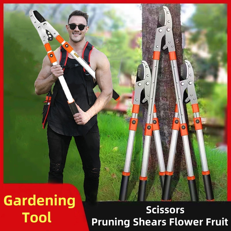 Garden scissors pruning shears tree gardening Heavy Duty Plant shears ...