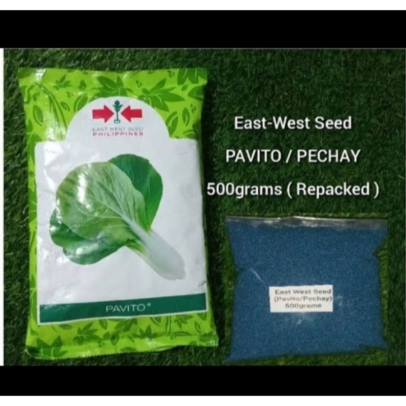 Pechay Pavito seeds/Certified Seeds for planting (1000Seeds aprrox ...