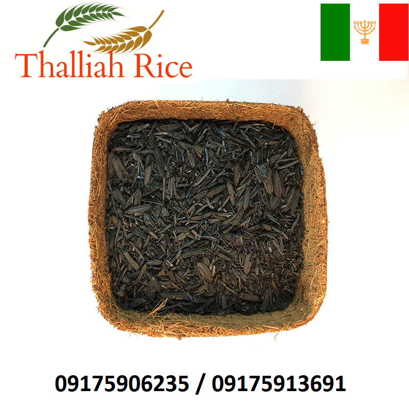 Carbonized rice hull is made from incomplete or partial burning of rice ...