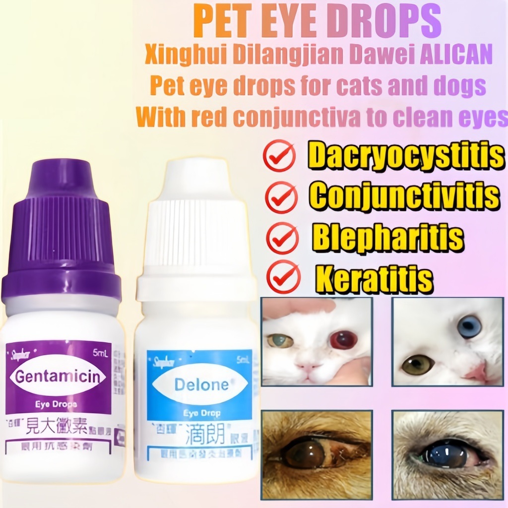 5ml Gentamicin Delone Eye Drops for Cats and Dogs Pet Eye Infection ...