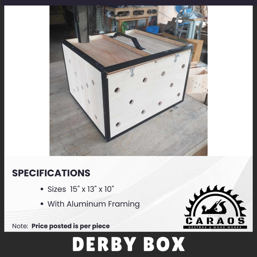 Derby Box Double by Caraos Nestbox & Wood Works | Shopee Philippines