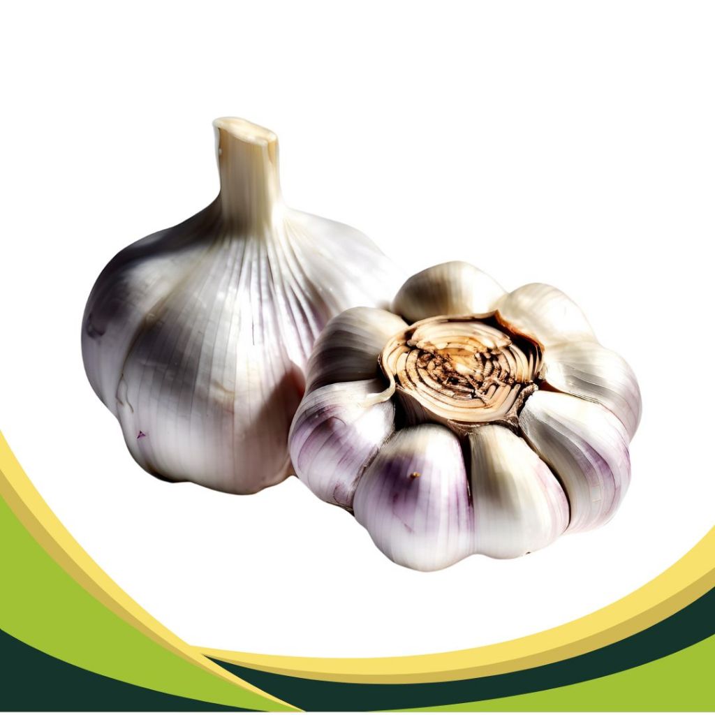 1kg Garlic Spices Bawang Small to Large Size Cooking Ingredient ...