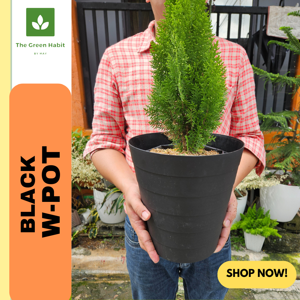 W-POT Black & white Classy Minimalist Pot: Timeless Sophistication for ...