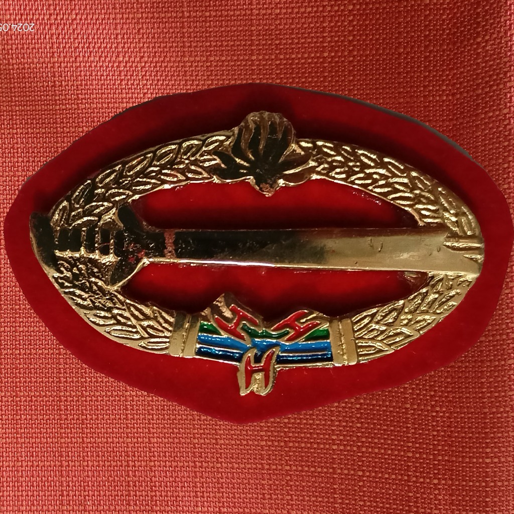 LAPU-LAPU PIN (SILVER / GOLD) | Shopee Philippines
