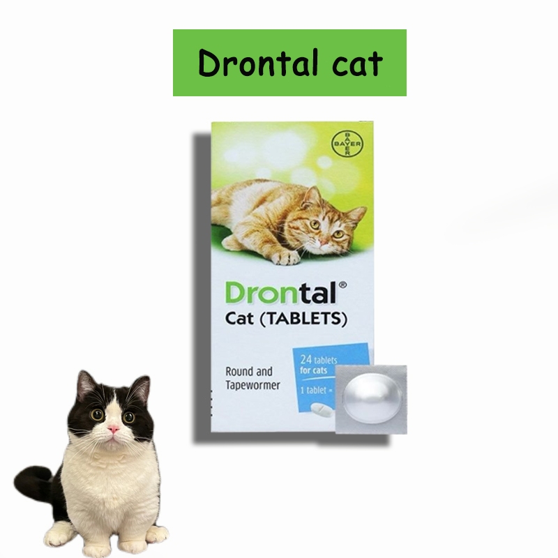 Drontal Cat Dewormer Cat Anthelmintic Tablet For Roundworm Hookworm ...