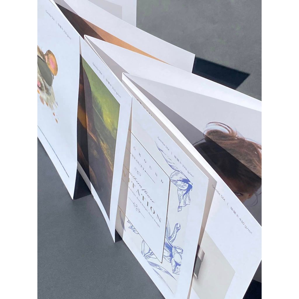 Printing Paper (Gentle SM Series) I DIY Crafts I 250g I 310g I 370g I 430g I A4 I 24 pcs ...