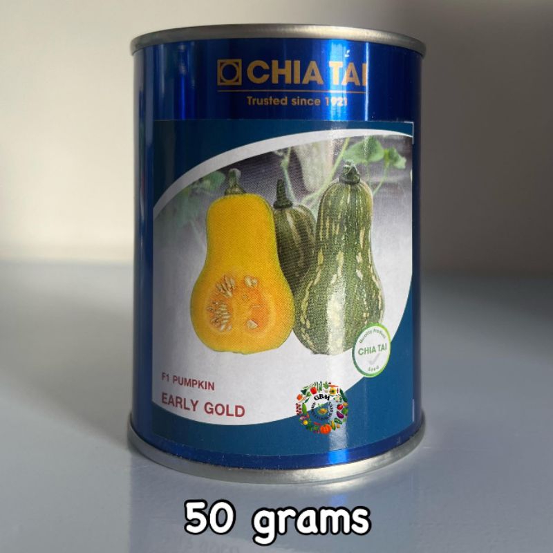 EARLY GOLD F1 (50g) CHIA TAI HYBRID BUTTERNUT PUMPKIN SQUASH (CALABASA ...