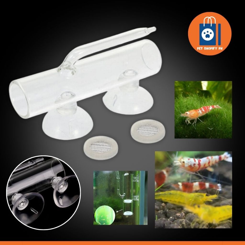 Shrimp Egg Glass Incubator Egg Hatching Tumbler Incubator Aquarium ...