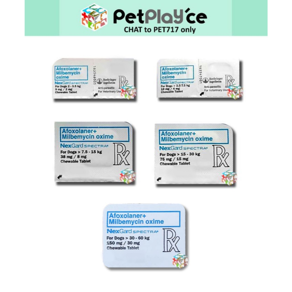 Nexgard Spectra Anti Tick & Flea with FREE Sticker for DOGS by BI ...