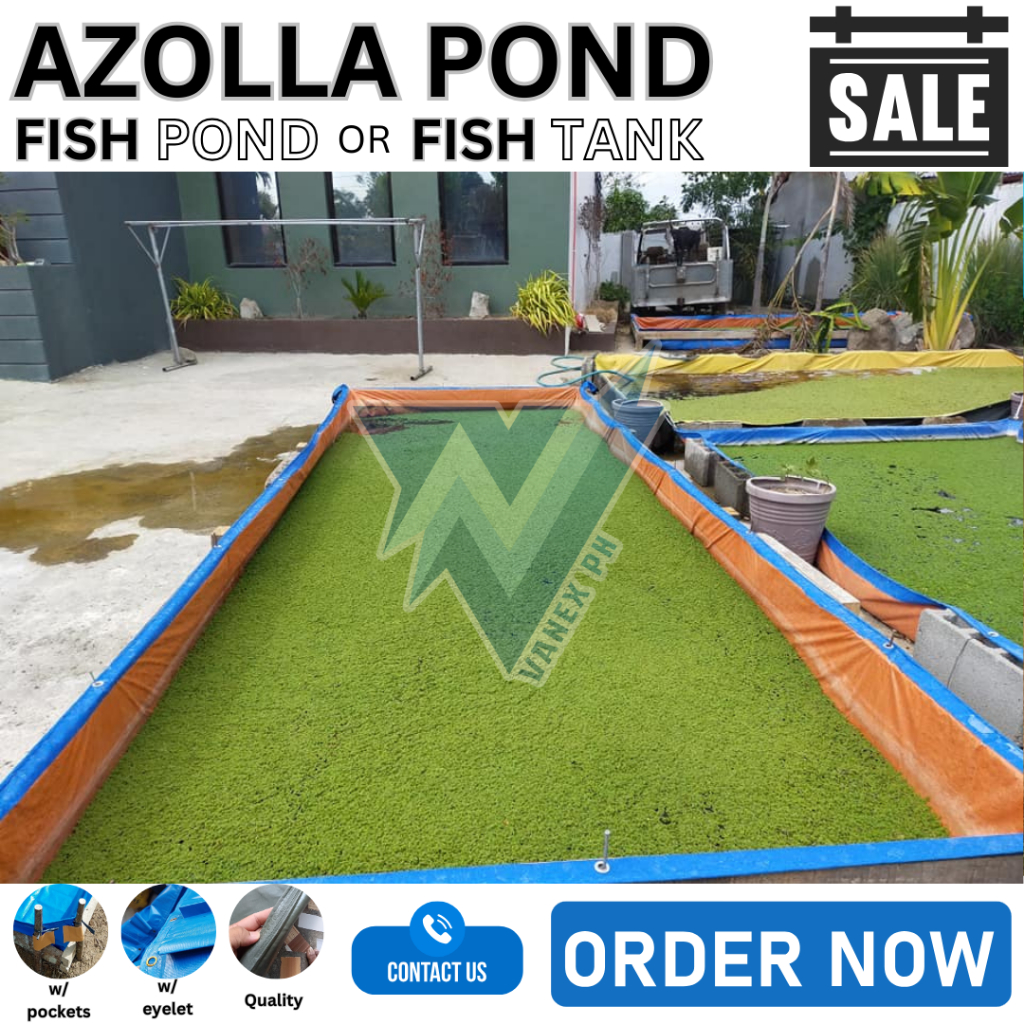 MEGASALE!![3X7X2Feet] 1pc Azolla Pond Trapond Fish Pond Tolda Trapal Tolda Waterproof - LONG ...