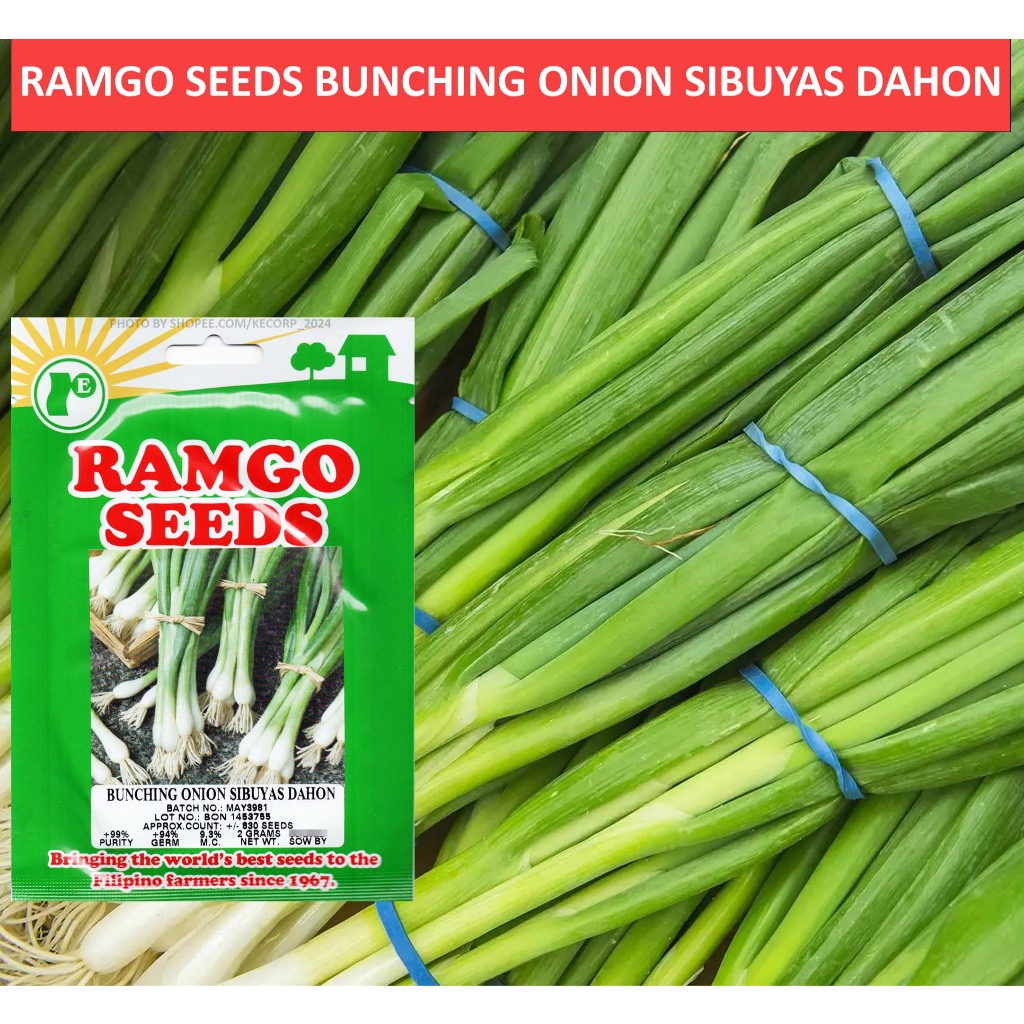 Ramgo RPD Seeds Bunching Onion Sibuyas Dahon 2grams_kc241207 | Shopee ...