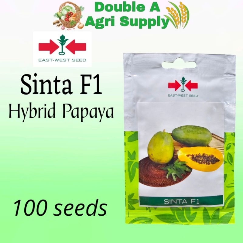 Sinta F1 Hybrid Papaya - East West Seed | Shopee Philippines