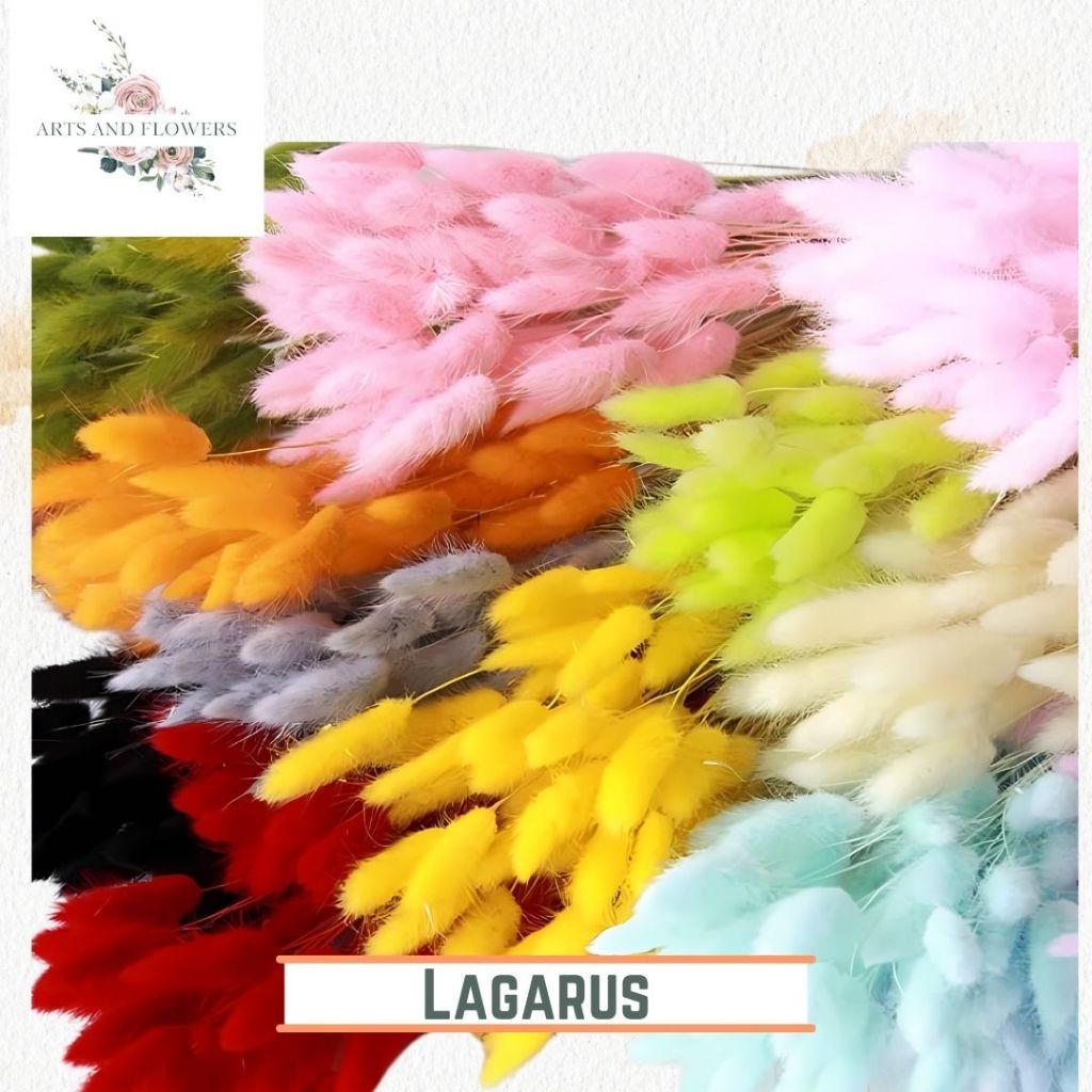 50-60 pcs lagarus dried flowers preserved flowers | Shopee Philippines