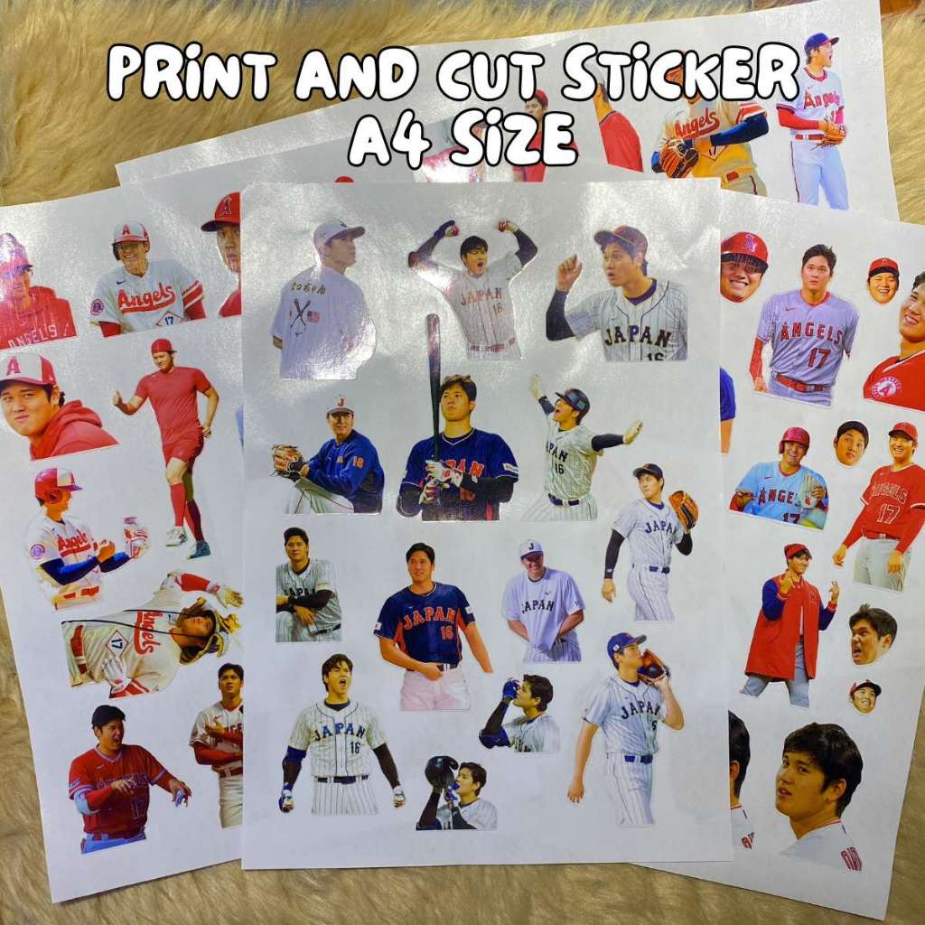 A4 Size Print and Cut Regular Glossy Sticker, Laminated and Non ...