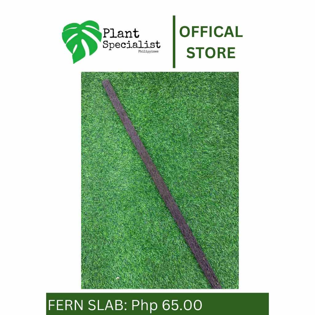 Fern Slab / Fern Pole / Stick for Climbing Plants | Shopee Philippines