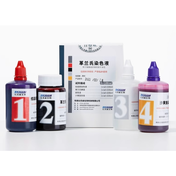Gram Stain Kit Set/Gram stain microscope staining kit | Shopee Philippines