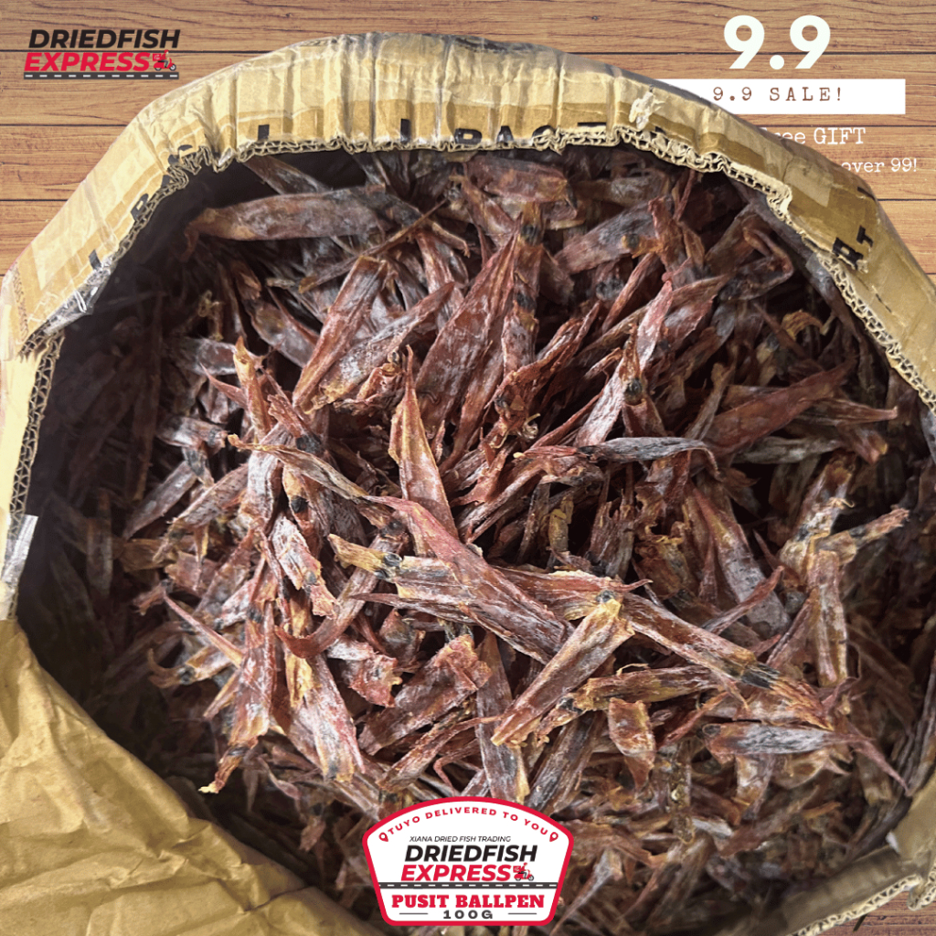 100g Dried Pusit Ballpen vacuum sealed from Palawan | Shopee Philippines