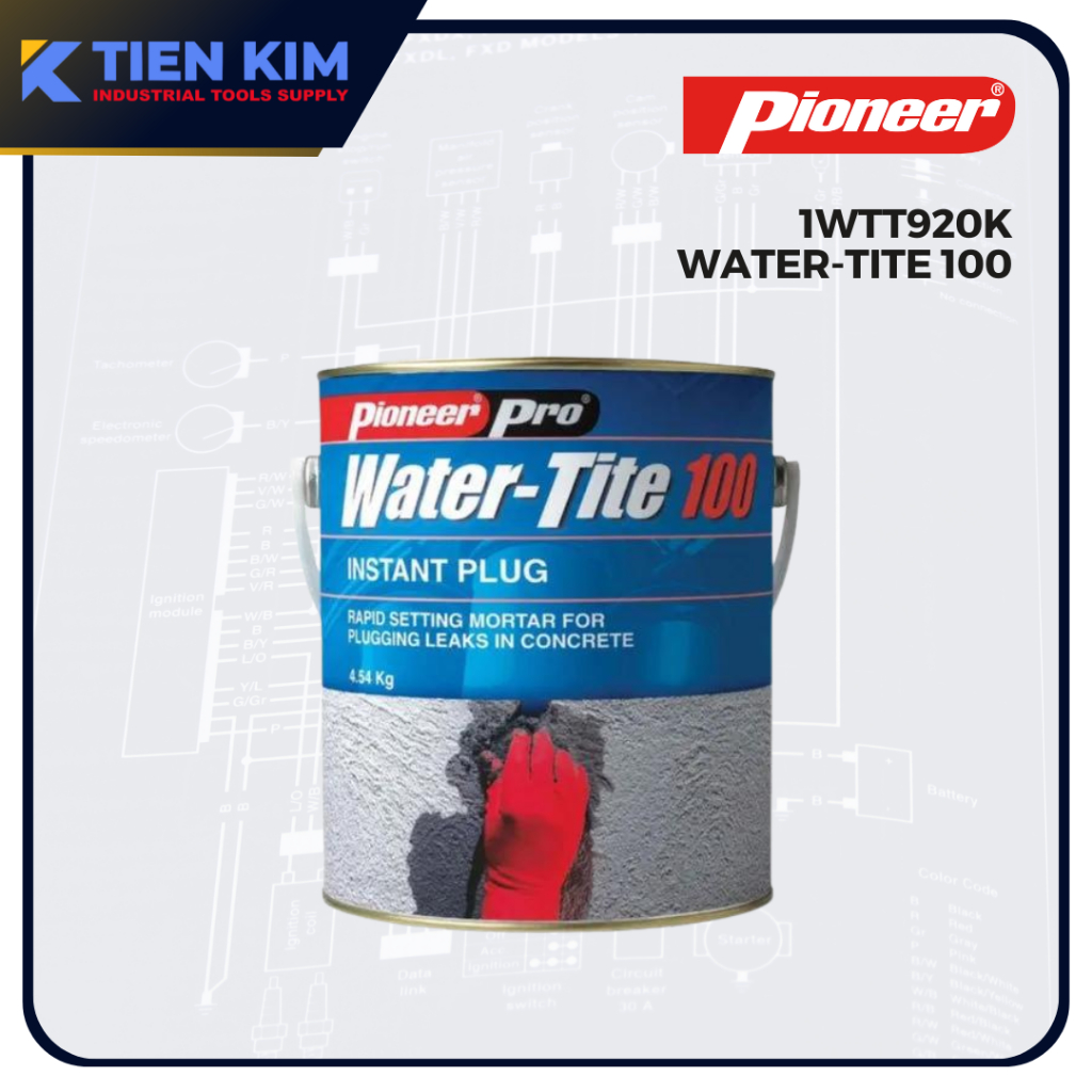 Pioneer Pro Water-Tite 100 Instant Plug 4.5KG | Shopee Philippines