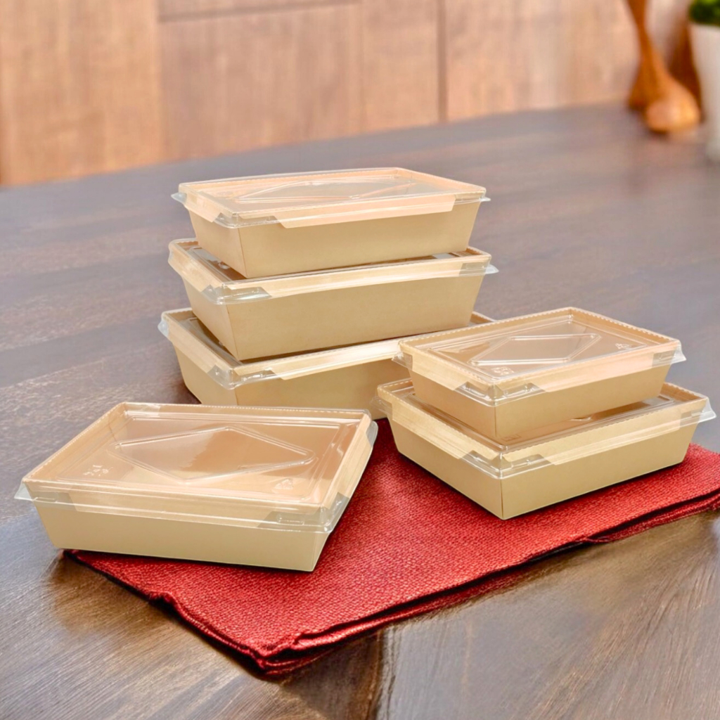 10pcs Disposable Kraft Paper Takeout Box with Clear Transparent Lid ...